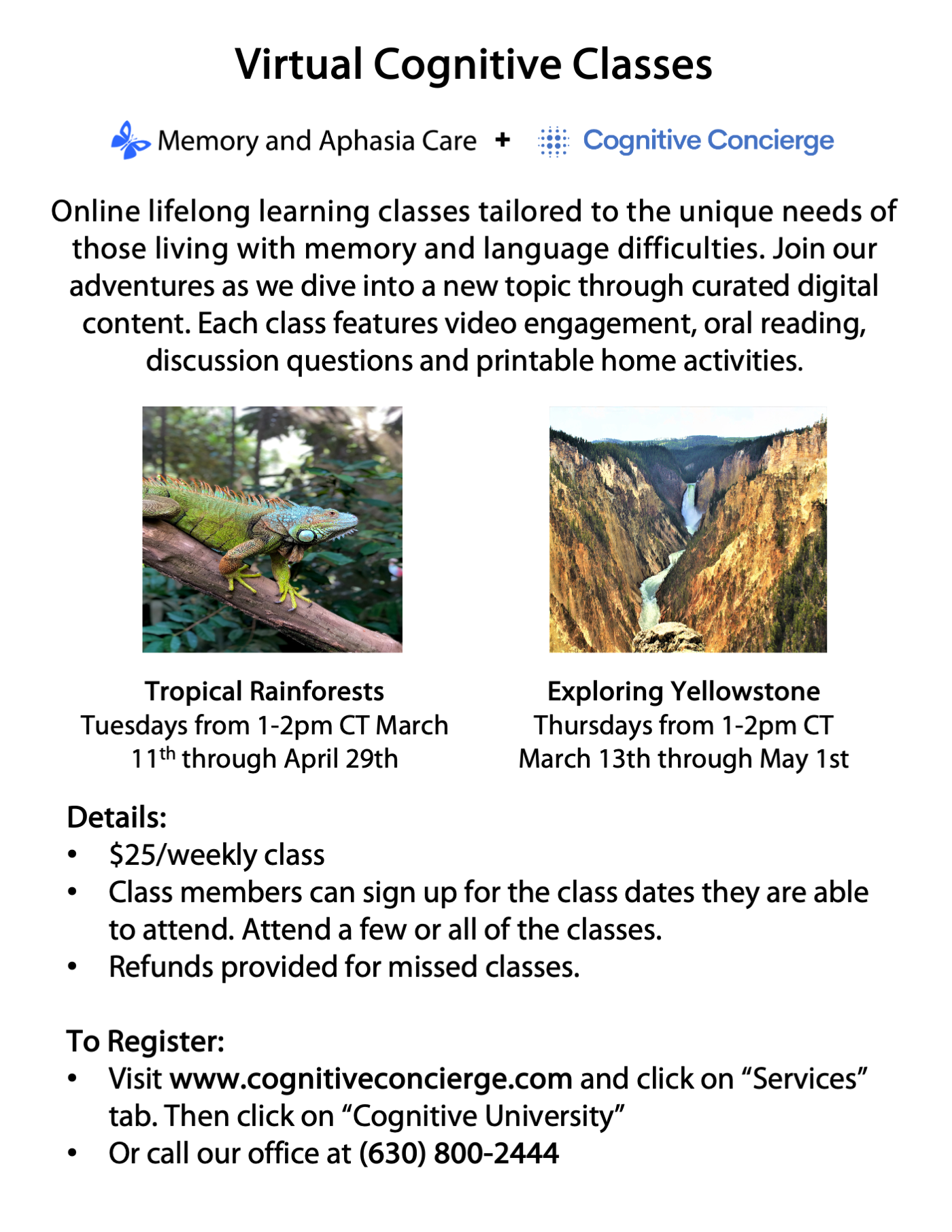 Virtual Cognitive Classes Starting Soon! Register Now! – Memory and ...